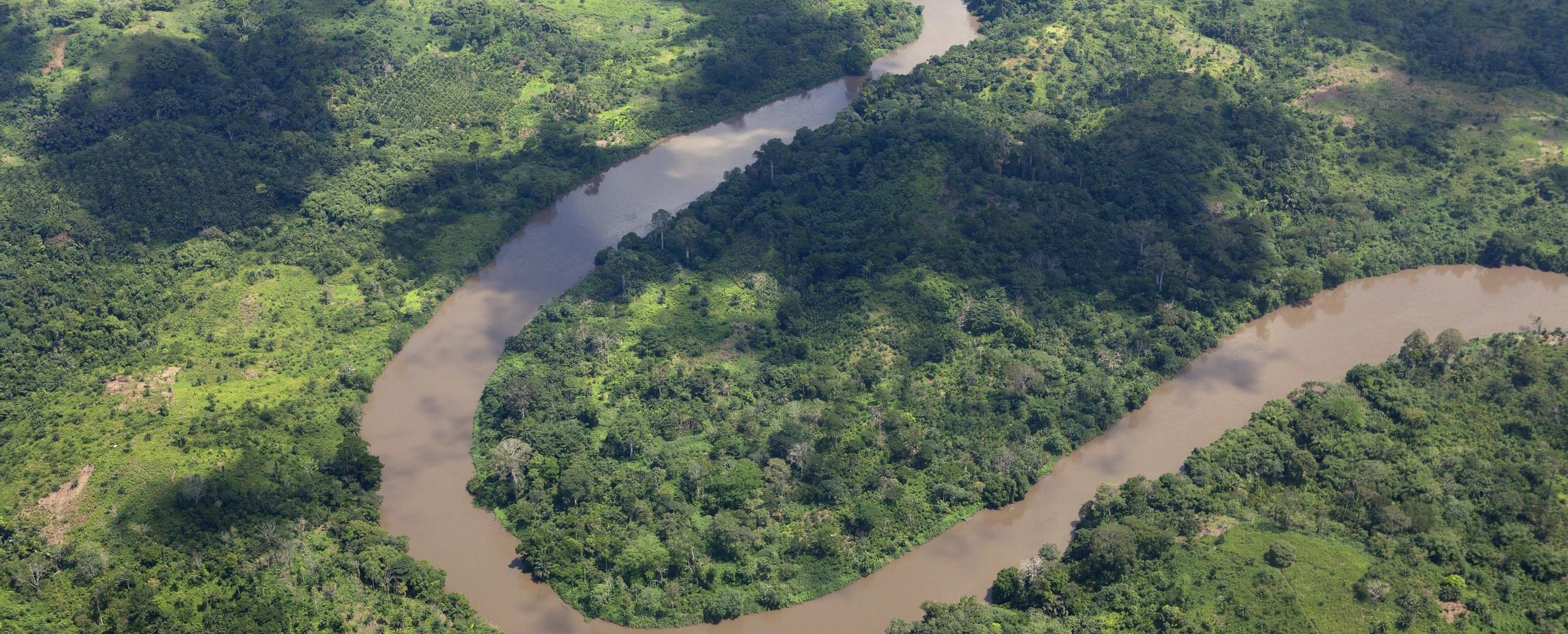 DRC: Can the Central African Forest Initiative survive? - Unearthed