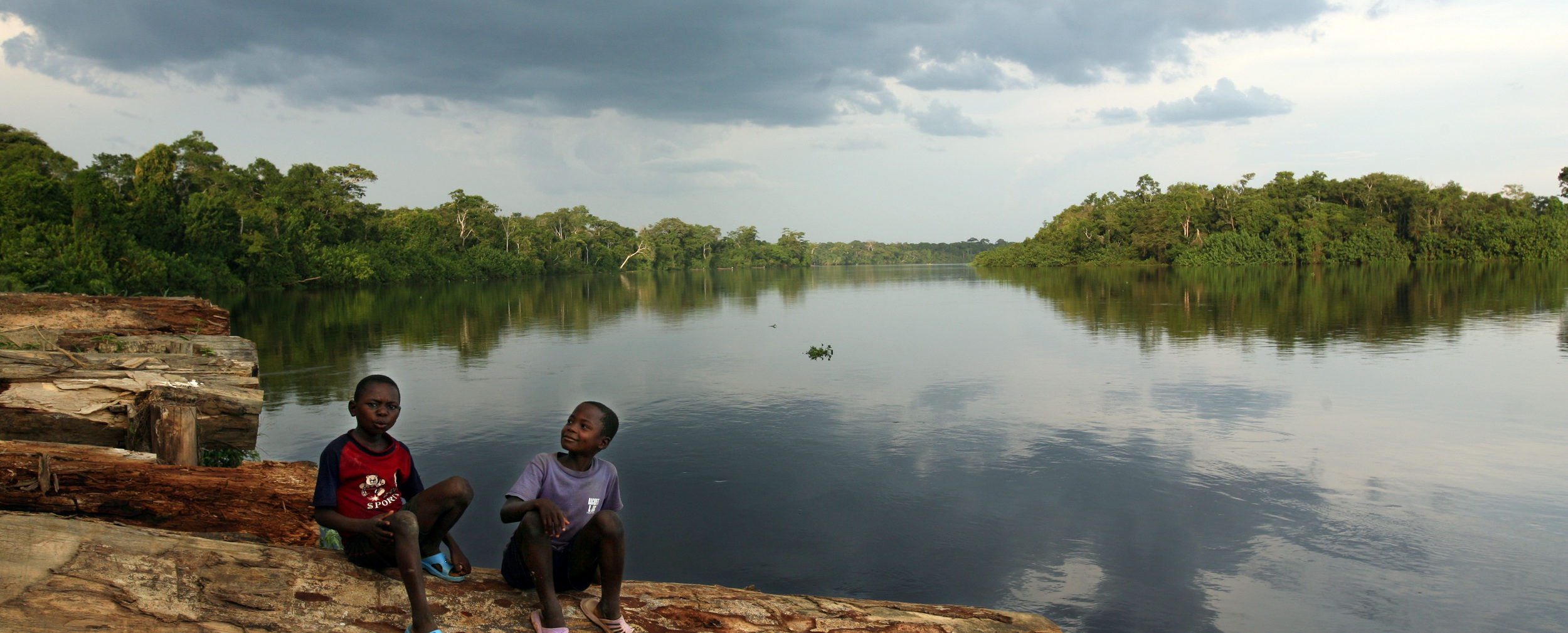 DRC: Can the Central African Forest Initiative survive? - Unearthed