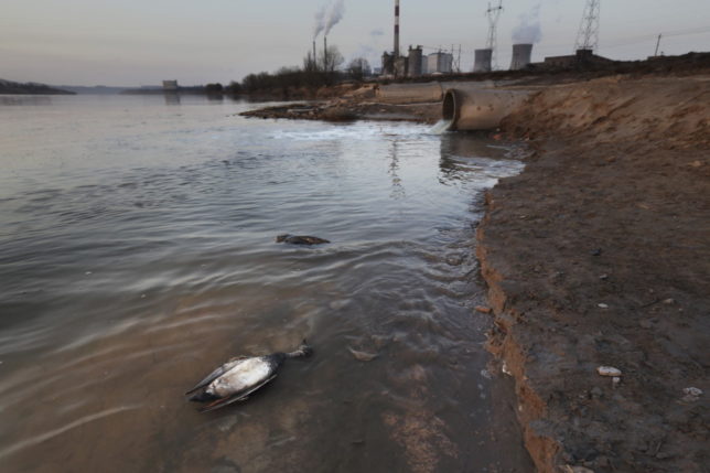 In pictures: China's coal industry pollutes the Yellow River basin ...