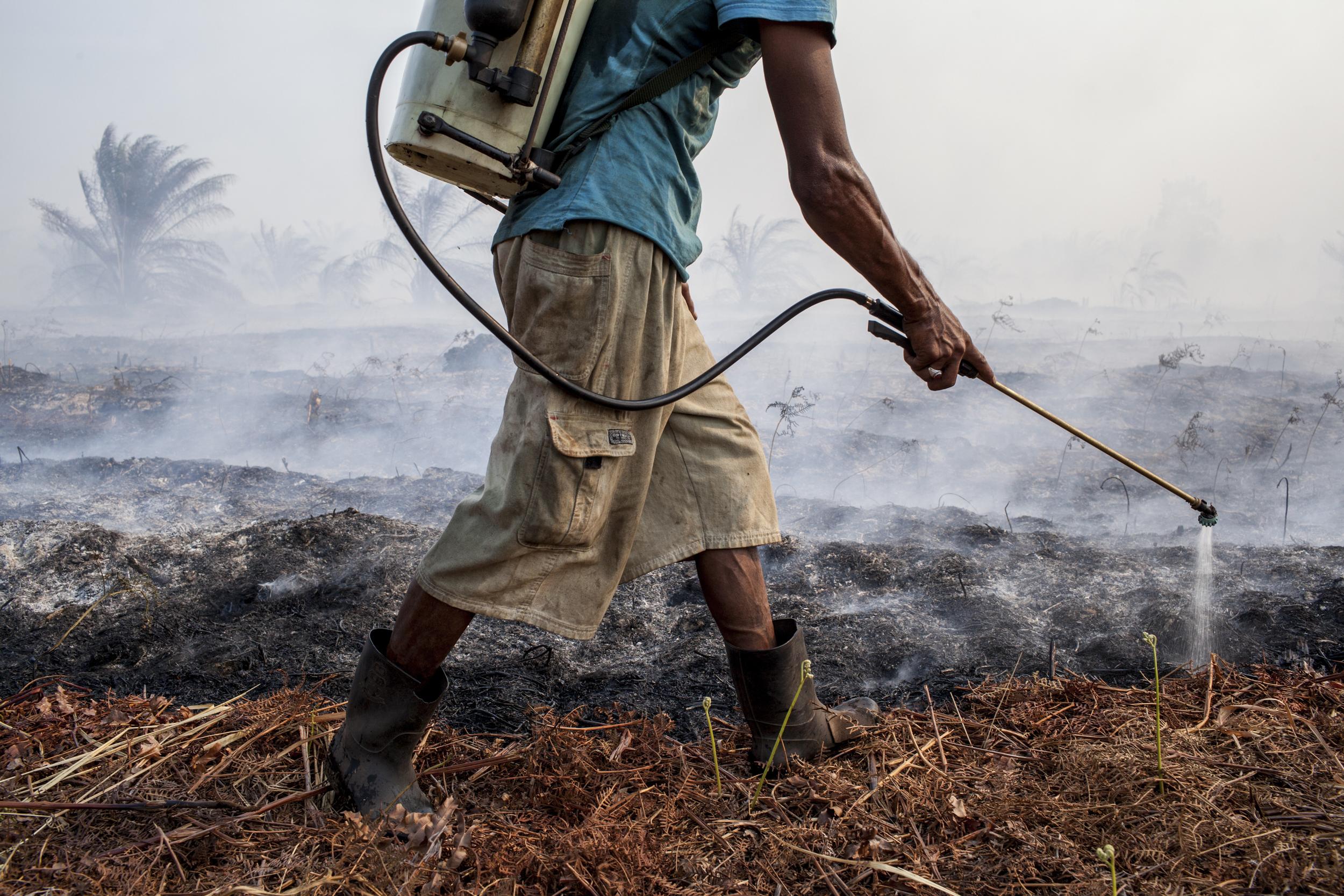 Could Indonesia’s mega-fires return in 2019? - Unearthed