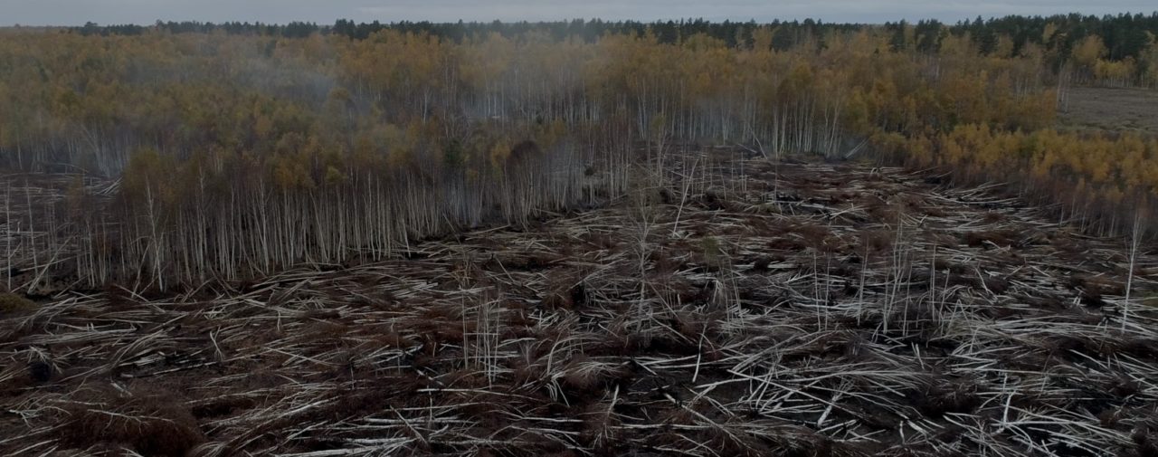 Russia's devastating wildfires mapped - Unearthed