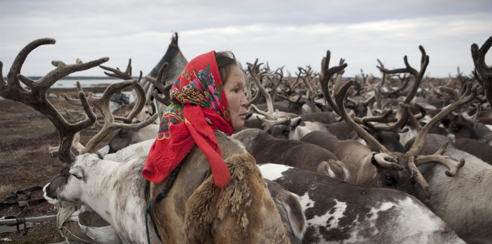 'We are losing the web of life': why the global nature crisis is as ...