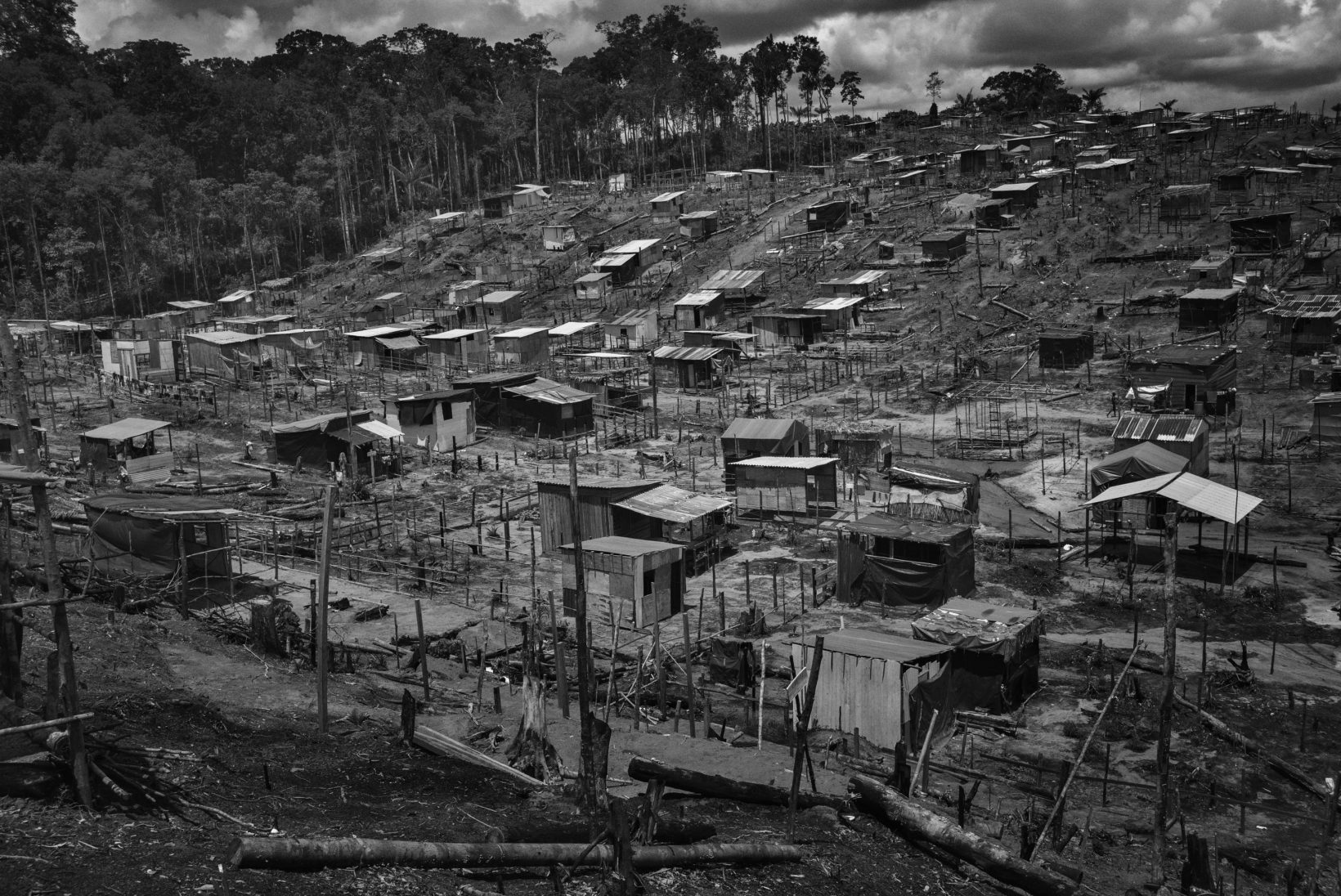 In pictures: The Brazilian Amazon in 2019 - Unearthed