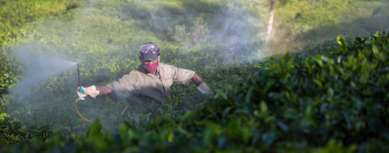 Revealed: Pesticide giants make billions on toxic, bee-harming ...