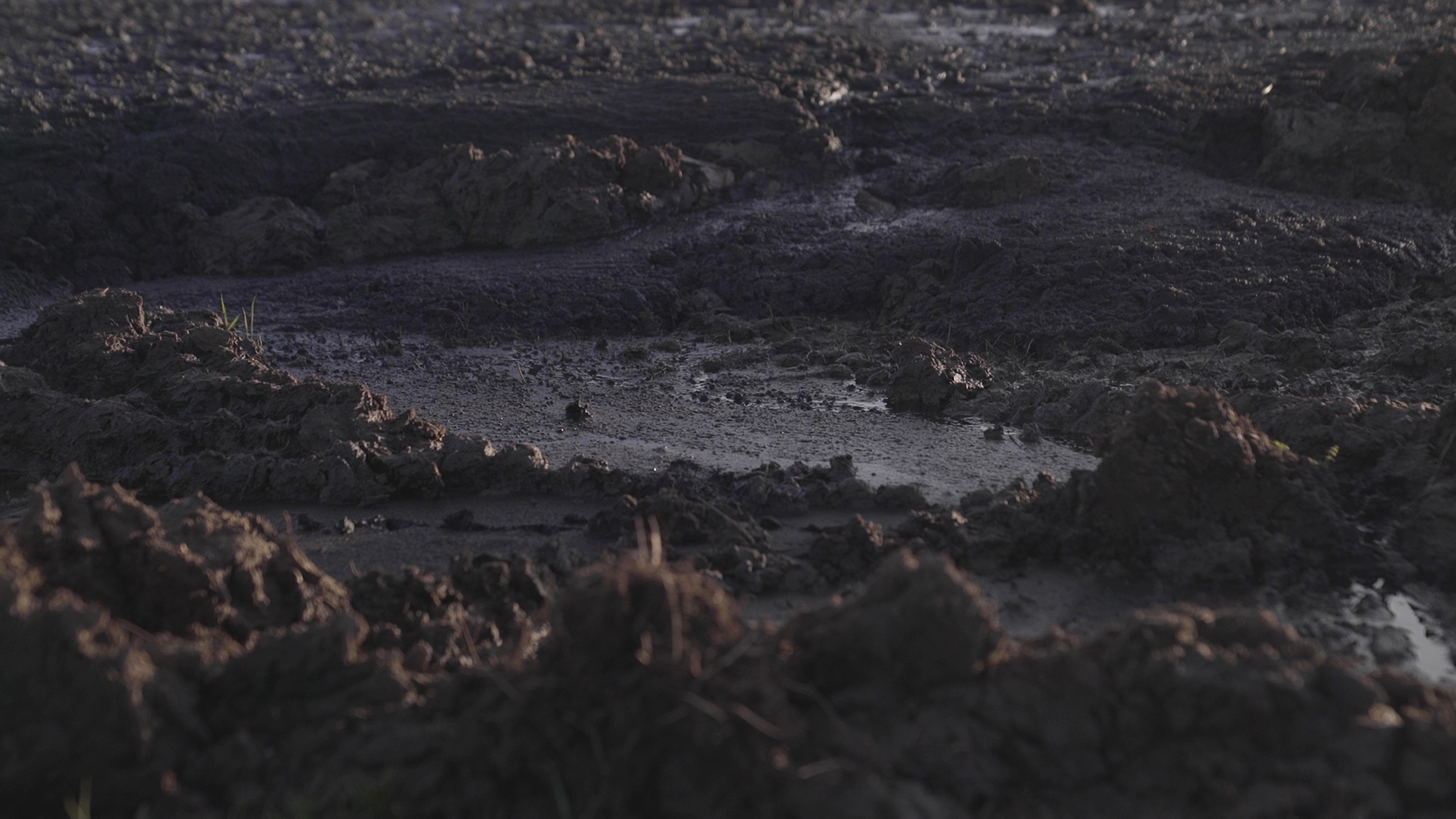 Secret report details toxic chemicals in sewage used as fertiliser at ...