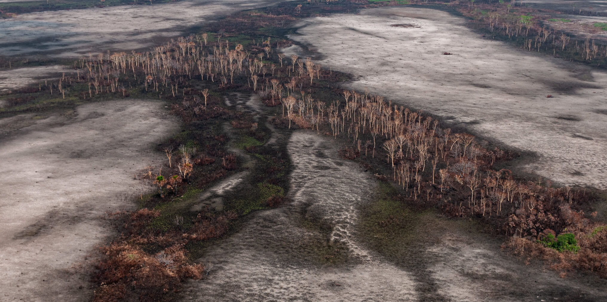 August's fires in the Amazon are at their highest levels in a decade ...