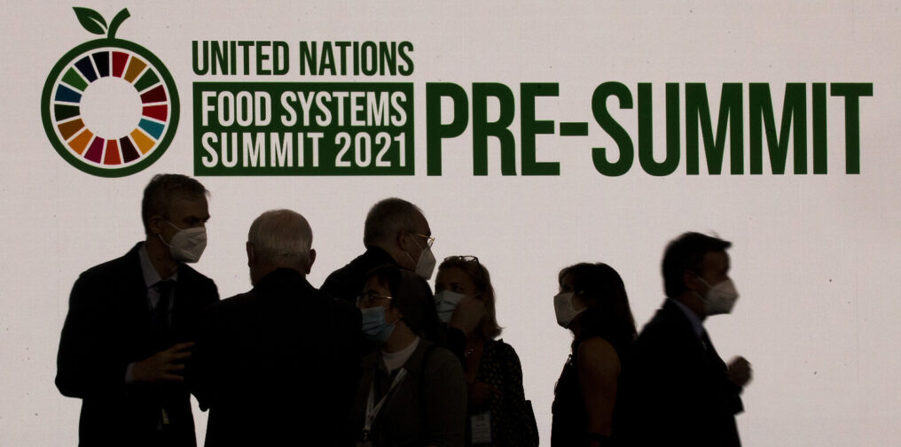 Meat industry pushes factory farming at UN food systems summit - Unearthed