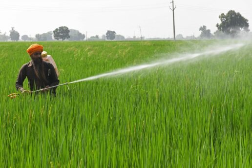 UK sent more than 10,000 tonnes of banned pesticides overseas in 2020 ...