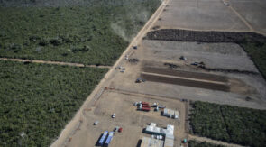 Investigative journalism from Greenpeace UK - Unearthed