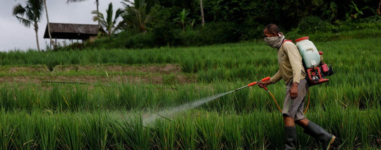 France still exporting prohibited pesticides, despite landmark ban ...