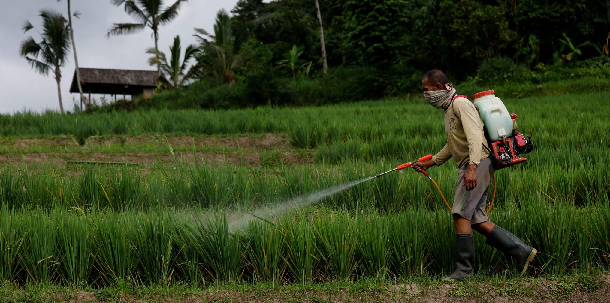 France still exporting prohibited pesticides, despite landmark ban ...