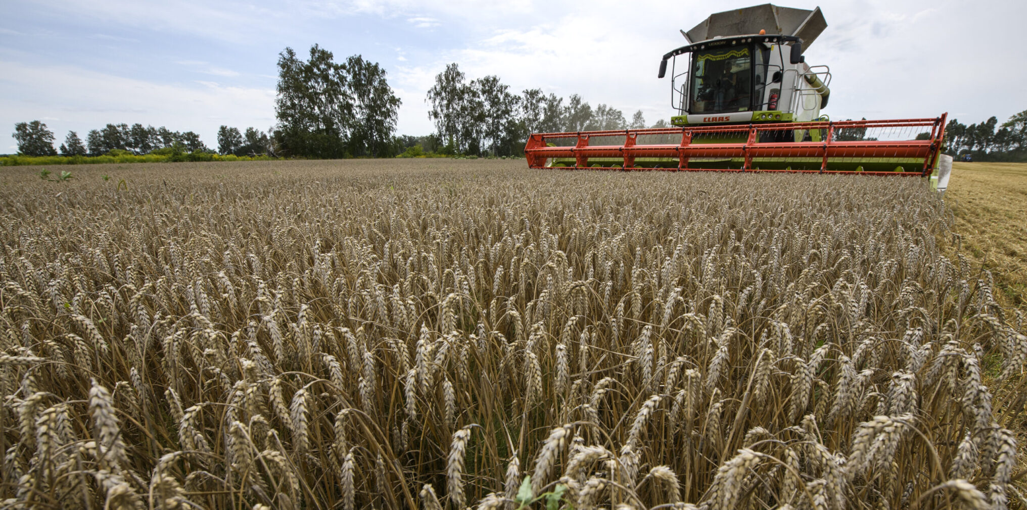 Top hedge funds made $1.9bn on grains before Ukraine war food price ...