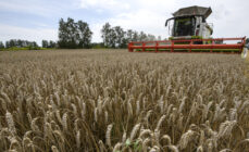 Investigative journalism from Greenpeace UK - Unearthed