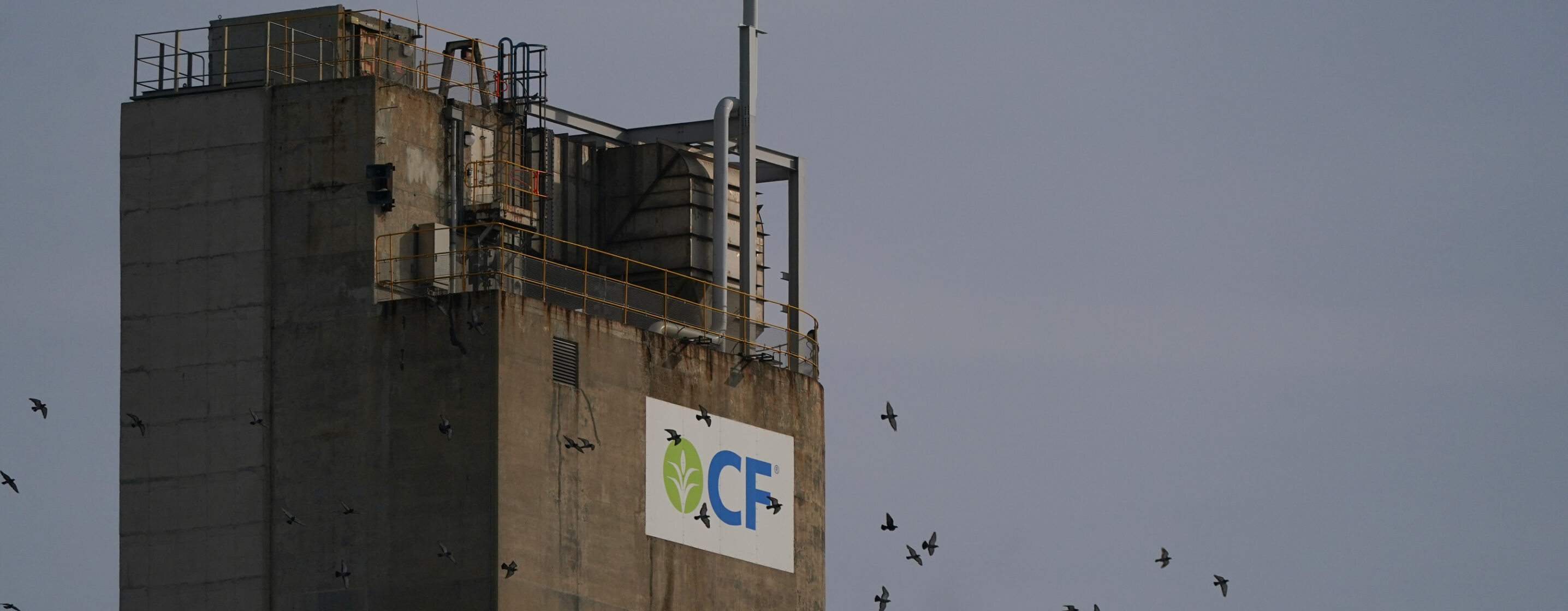 How UK firms can close factories and make millions on the carbon market ...