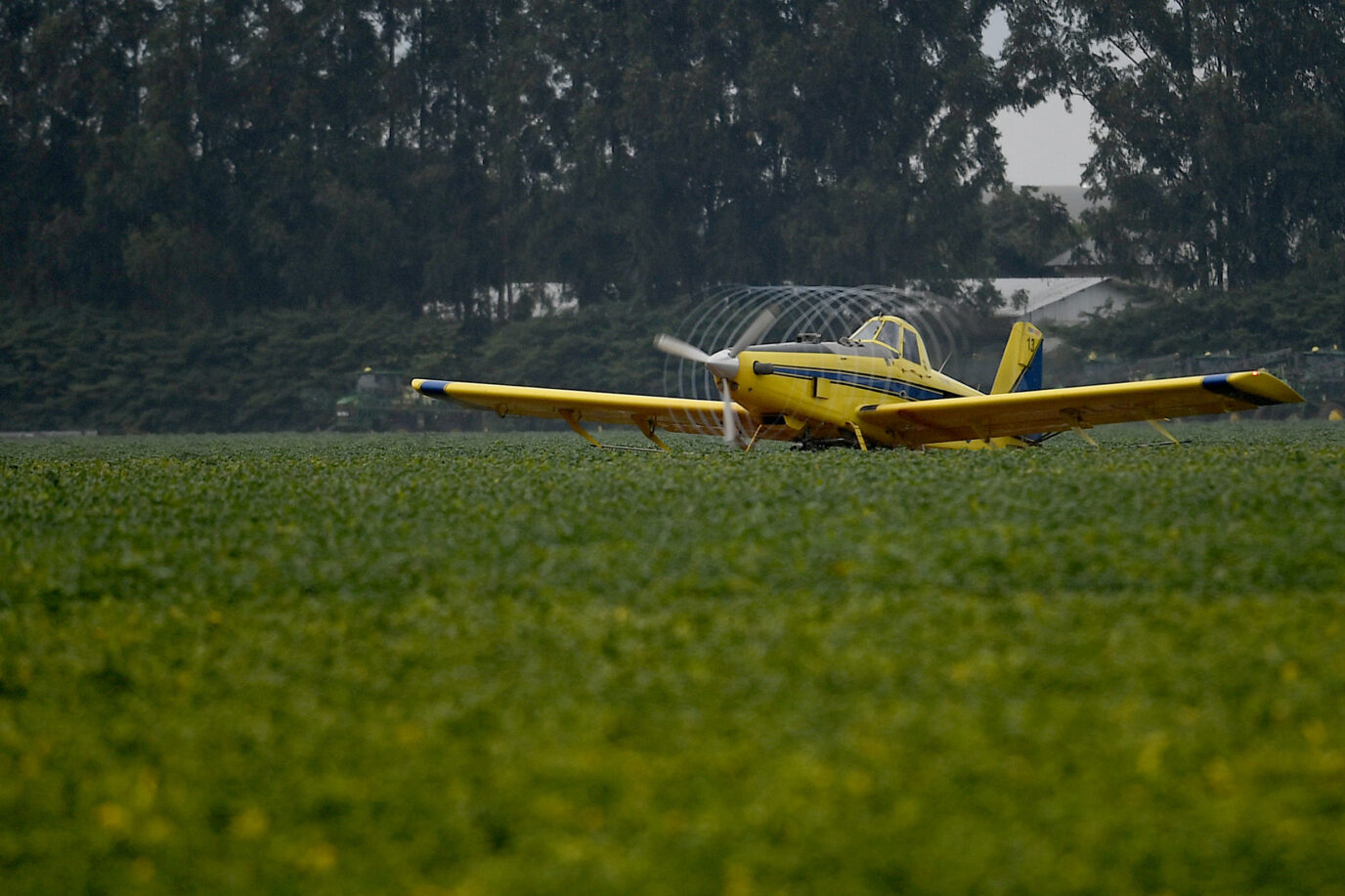 Loopholes in France’s pesticide export ban allow growing shipments of ...