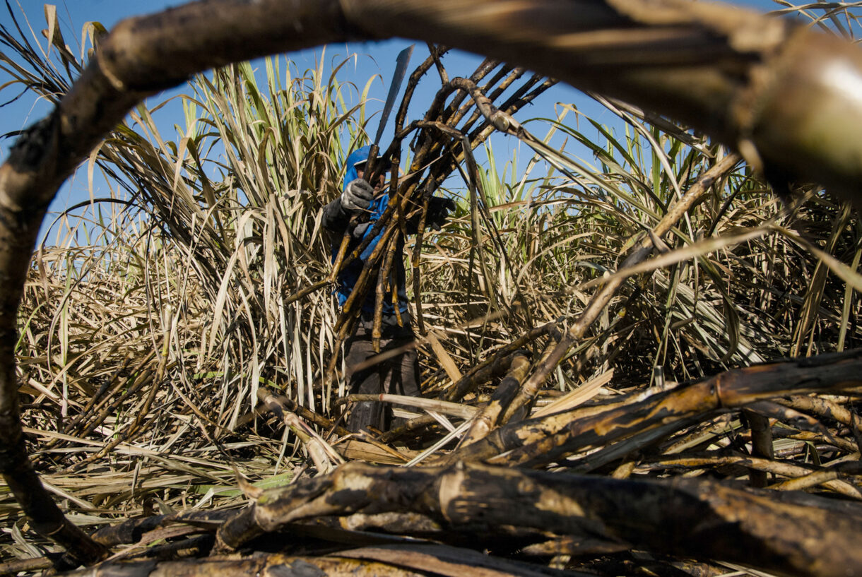 Loopholes in France’s pesticide export ban allow growing shipments of ...