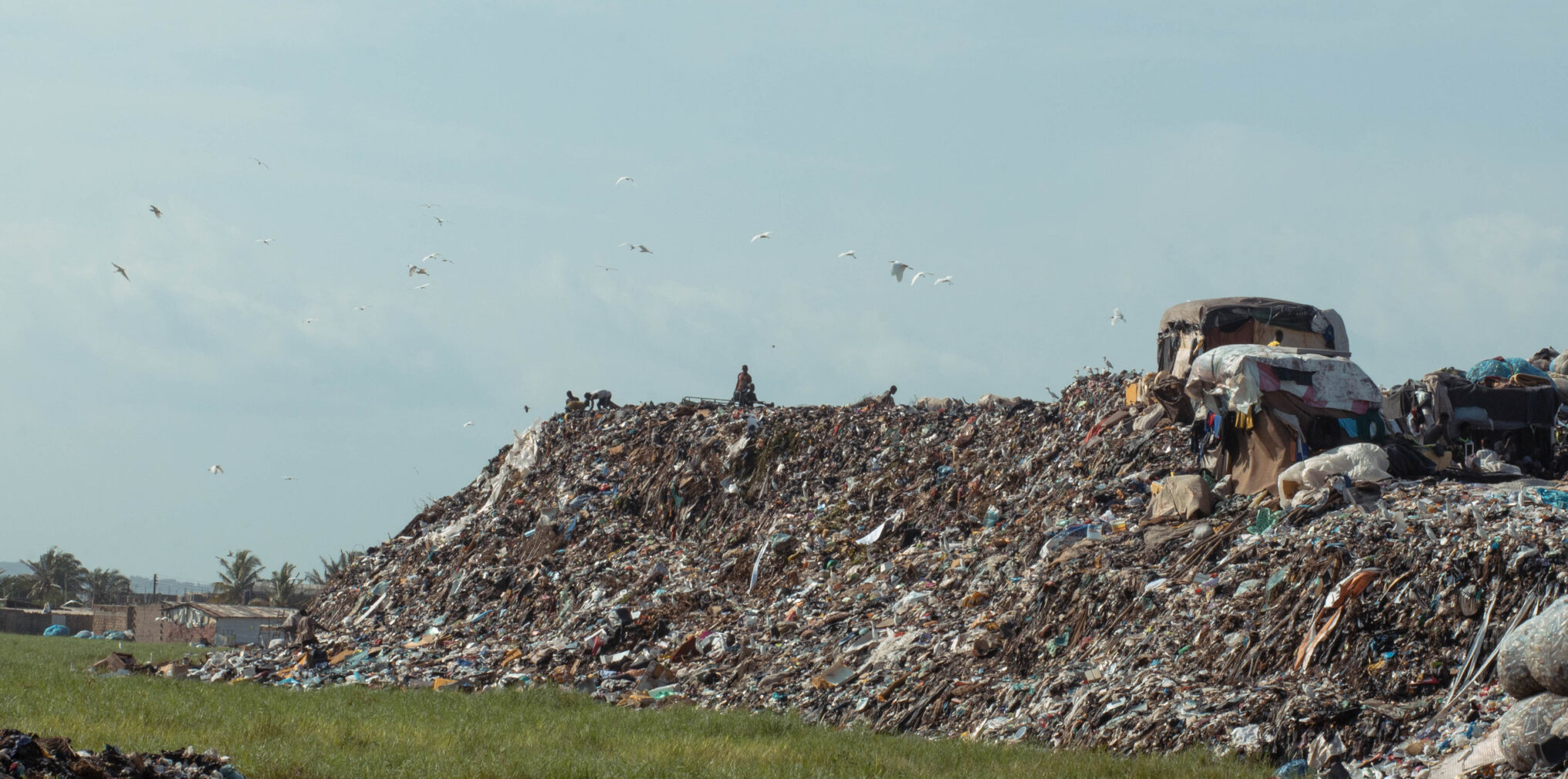 UK brands found in ‘fast fashion graveyard’ in African conservation ...