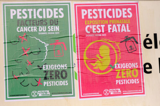 EU banned pesticide trade expands despite promises to end it - Unearthed